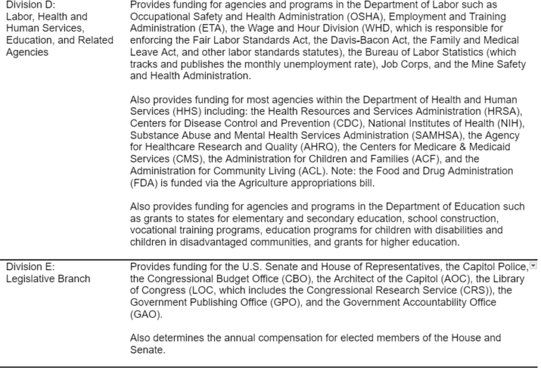 Unpacking the Second Minibus - Concord Action